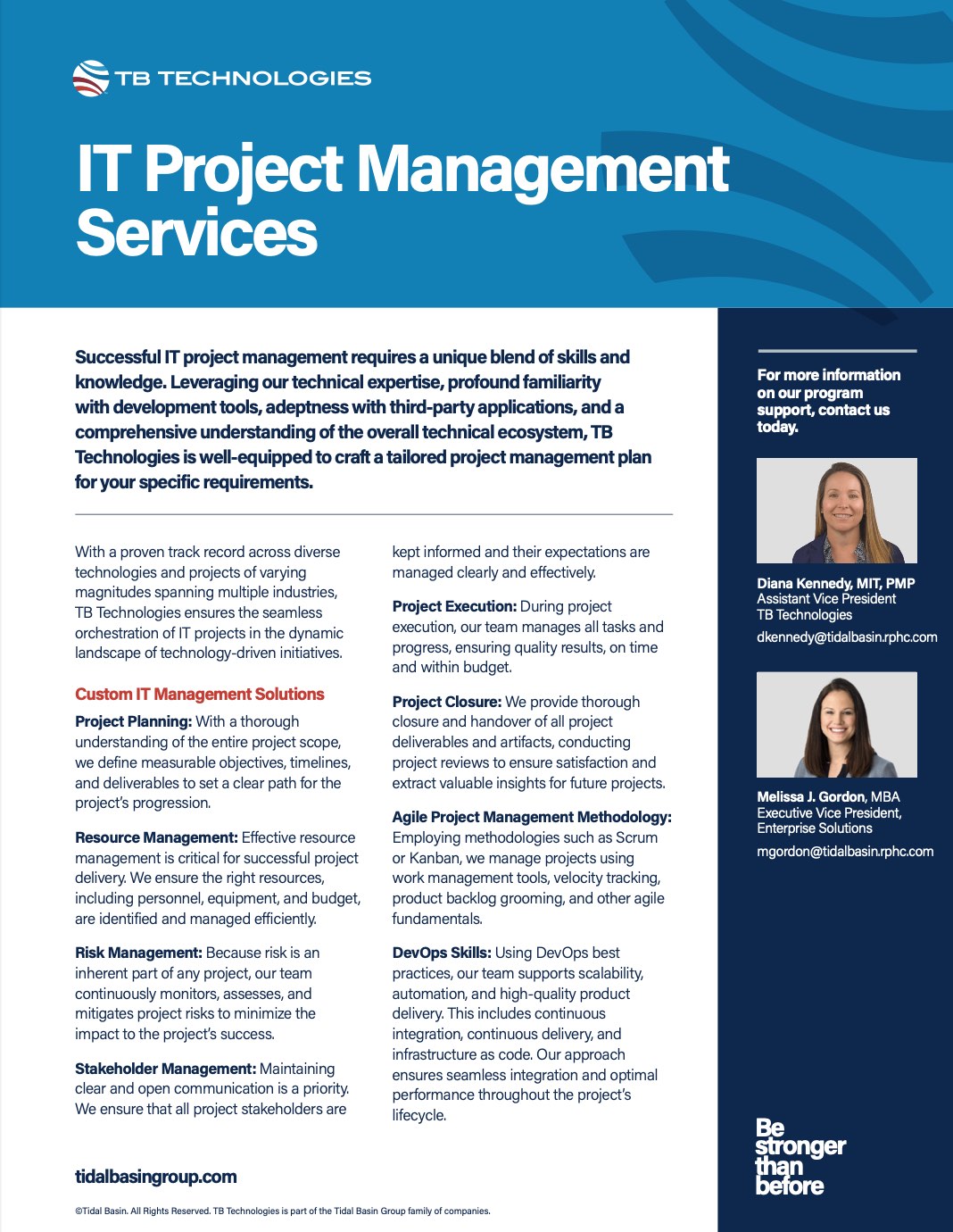 IT Project Management Services - Tidal Basin Group