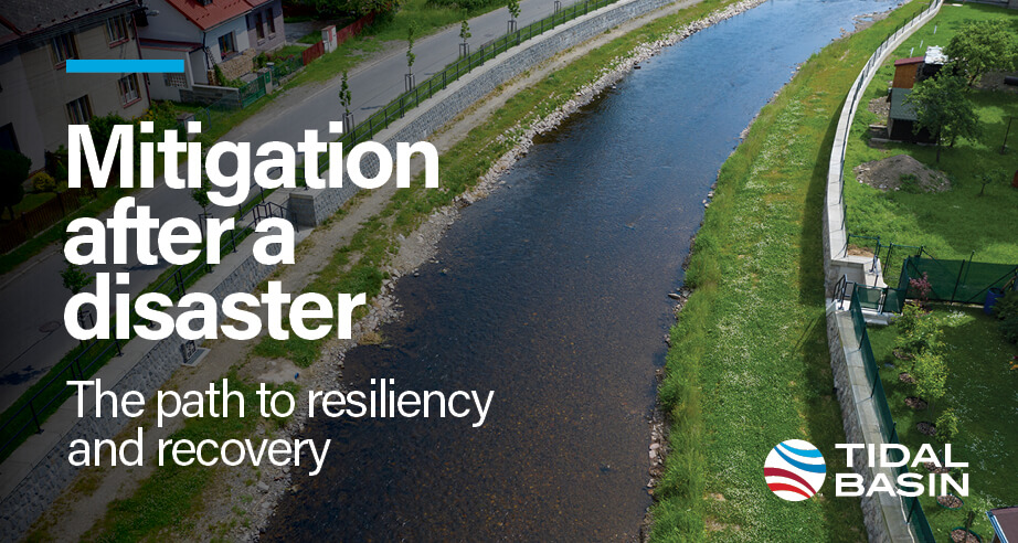 Post-Disaster Mitigation Measures - A Blueprint for Resilience and Recovery - Tidal Basin Group