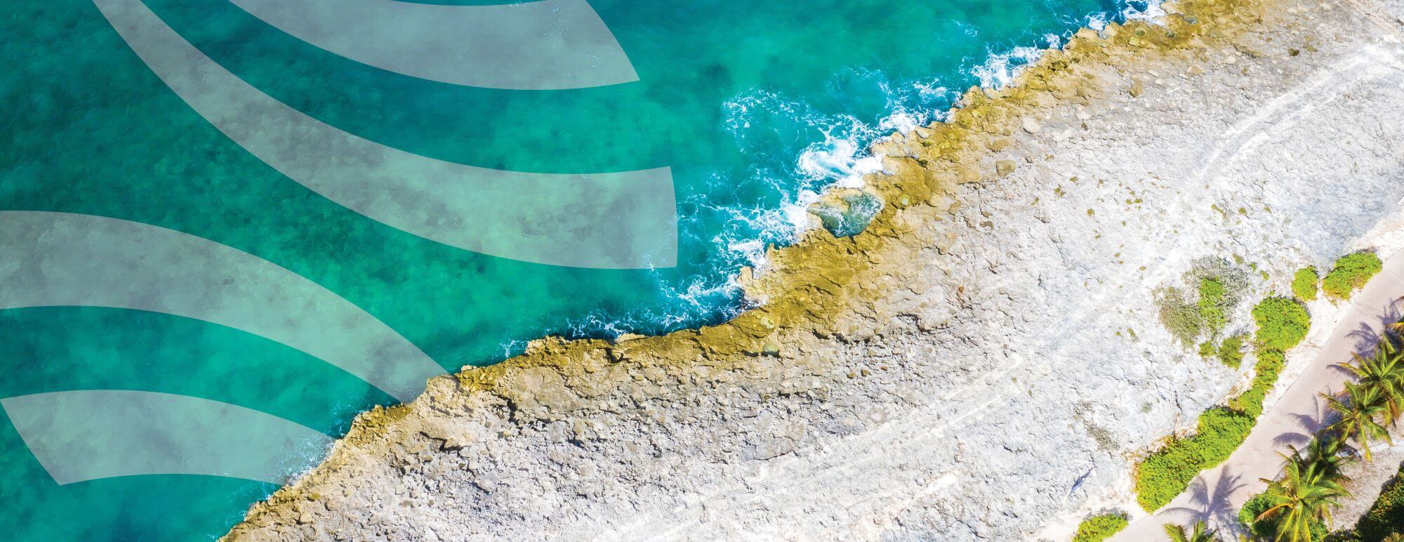 Celebrating Caribbean American Heritage Month and Tidal Basin Caribe ...