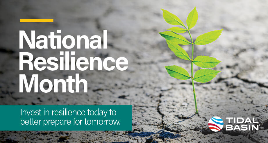 National Resilience Month and Tidal Basin's Commitment - Tidal Basin Group