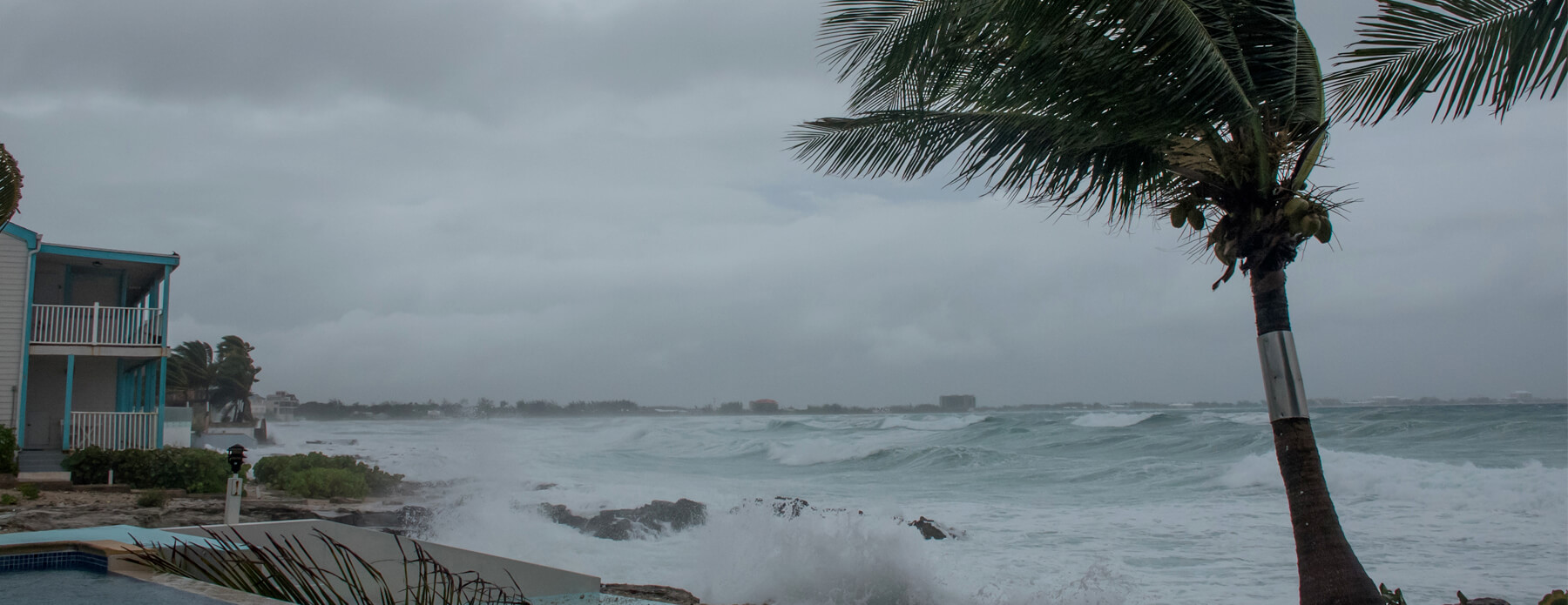 Preparing for Tropical Storm Debby - Tidal Basin Group