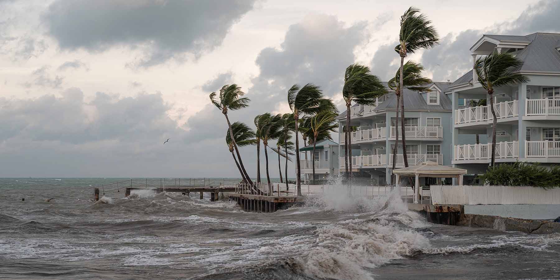 Watching for Tropical Storm Sara and Hurricane Sara - What to Know - Tidal Basin Group