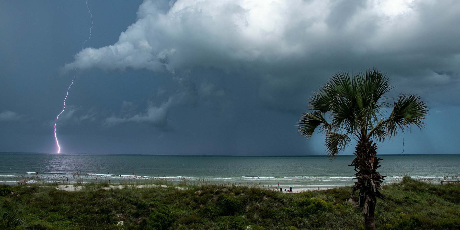Unpacking 2024 Tropical Storm Chris and Exploring Its Prior Hurricane History - Tidal Basin Group