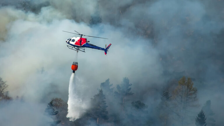 Understanding the National Incident Management System (NIMS) - Tidal ...