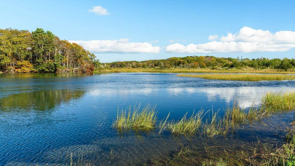 FEMA BRIC - Building Resilient Infrastructure and Communities for a ...