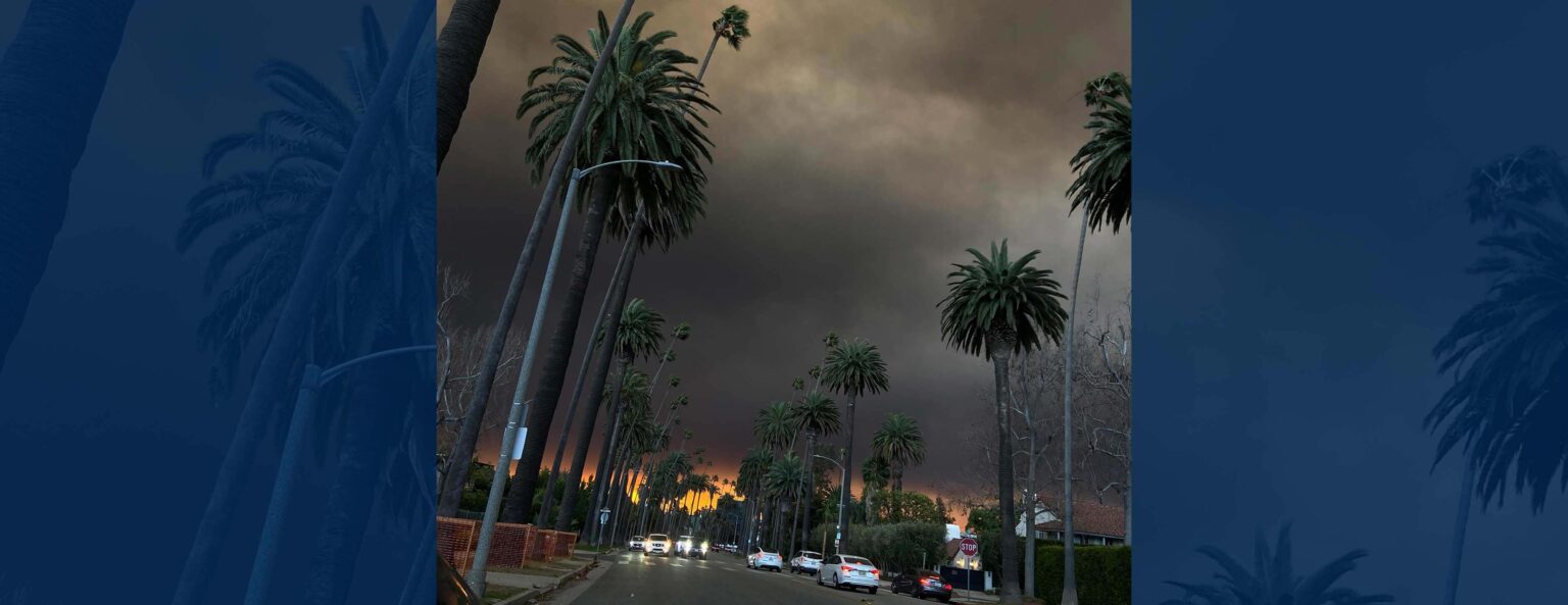 Southern California Wildfires Wreak Havoc and Prompt Evacuations - Tidal Basin Group