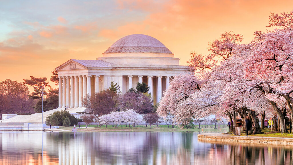 NEMA Mid-Year Forum - 2025 - Tidal Basin Group