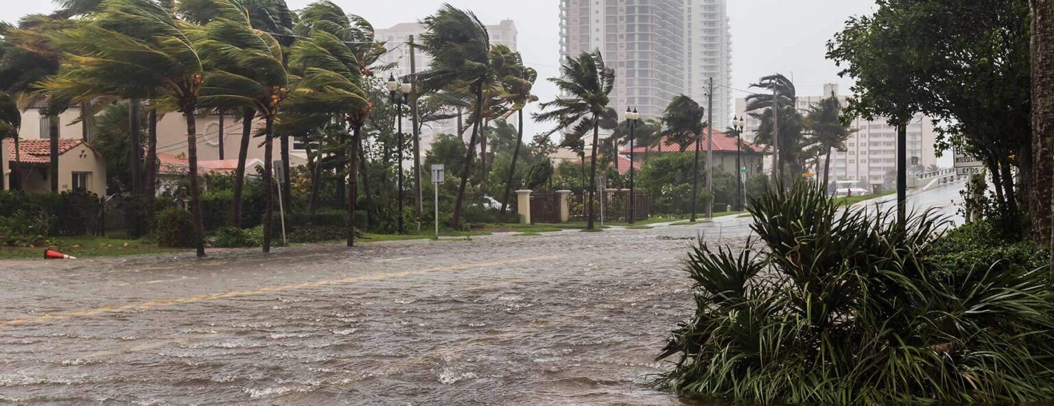 Certified Emergency Manager - What It Is and How to Become One - Tidal ...