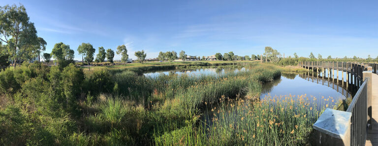 Spaghetti Models Explained - Tidal Basin Group