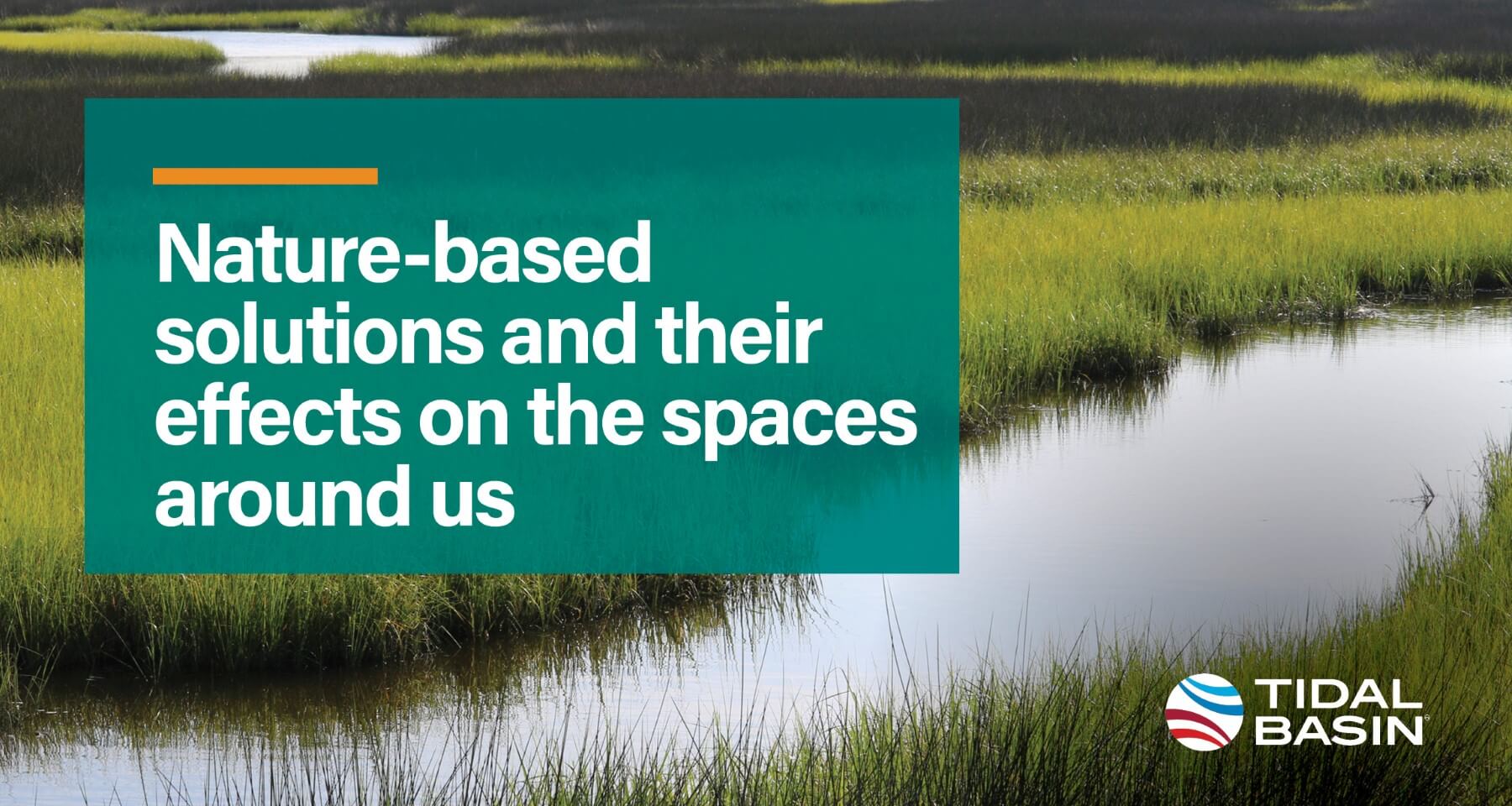 What Are Nature-Based Solutions? - Tidal Basin Group